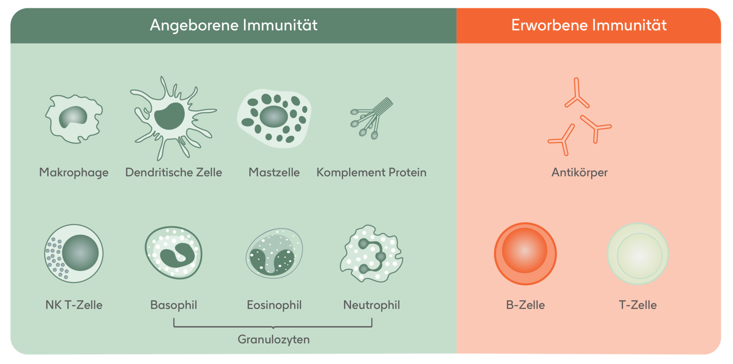 Was ist schweres eosinophiles Asthma?